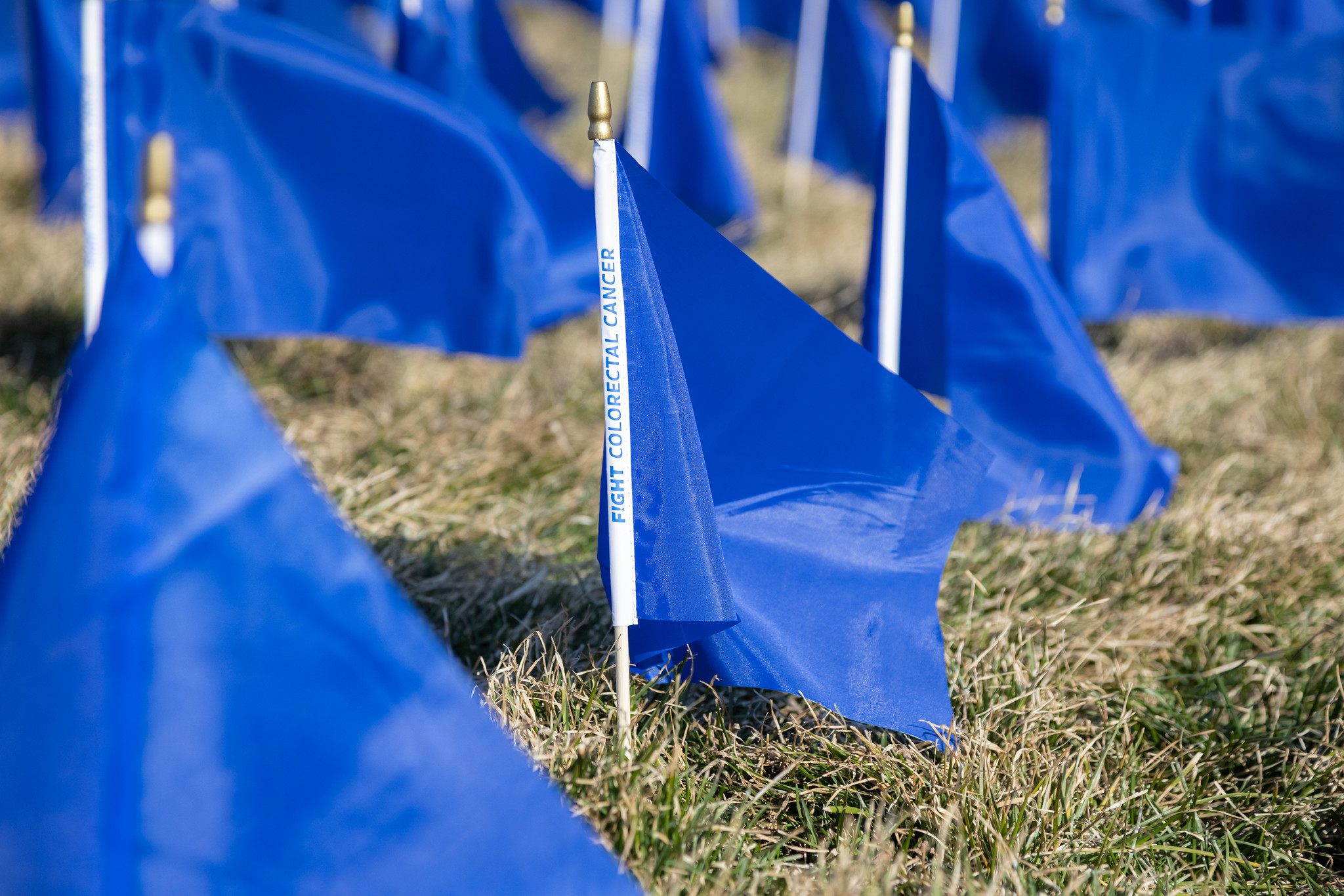 Colorectal Cancer Survival Rates - Fight Colorectal Cancer